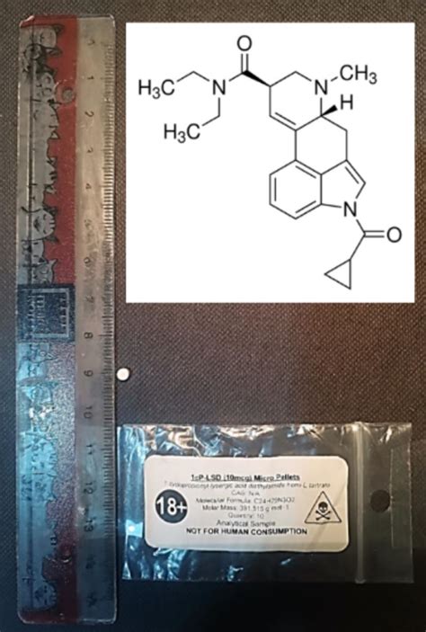 Single Dose 1cp Lsd Administration For Canine Anxiety A Pilot Study