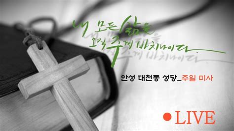 2021년 11월21일 온 누리의 임금이신 우리 주 예수 그리스도왕 대축일 성서주간 오전 10시 미사 Youtube