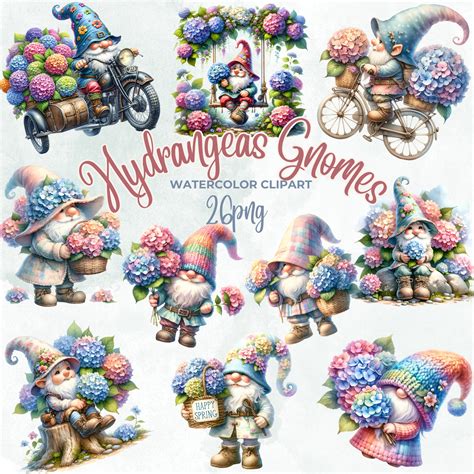 Watercolor Hydrangeas Gnomes Png Cute Floral Gnome Valentines Gnomes