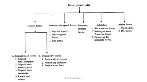 Types Of Ecosystems PDF Geography Science