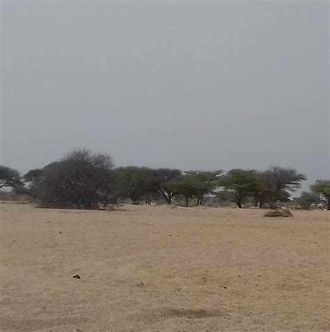 السوق الافتراضية جهة الساقية الحمراء