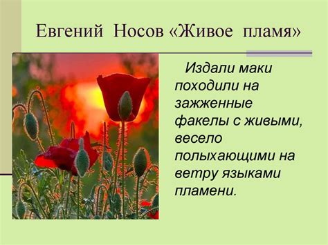 Евгений Иванович Носов. Рассказ «Живое пламя» - online presentation
