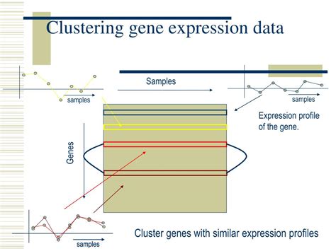 Ppt Clustering Applications Powerpoint Presentation Free Download