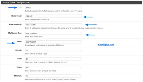 How To Configure Bind Dns Server On Pfsense Opnsense Cloudspinx