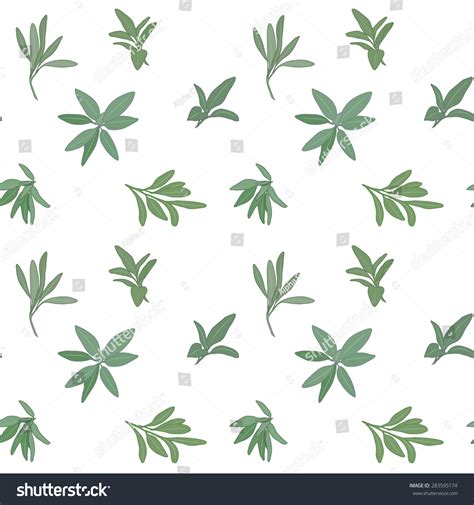 Sage Seamless Pattern Sample Swatch Panel Stock Vector Royalty Free Shutterstock
