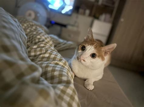 喃虹映務 2021年絕對是一個讓所有人難忘的一年 今天在台灣也爆發了新冠病毒的疫情 影響了很多同胞很多行業 改變了很多消費習慣