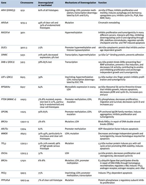 Molecular Pathogenesis Of Ovarian Cancer Oncohema Key