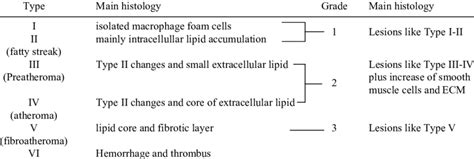 Comparison Of The Classification Of Atherosclerotic Lesions Between