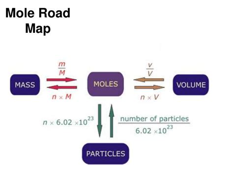 Ppt The Mole Powerpoint Presentation Free Download Id5724445