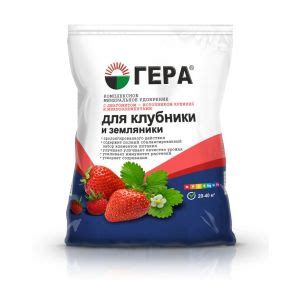 Удобрение с кремнием ГЕРА для Клубники 0,9 кг (25/1050) — купить в ...