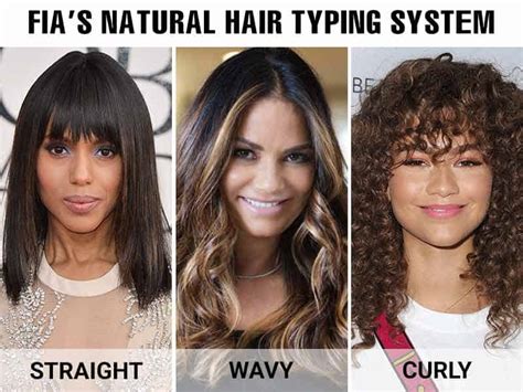 Natural Hair Types Different Hair Classification Systems Laylahair