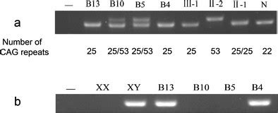 Direct Sequencing Of The PCR Products And Sex Determination By Download Scientific Diagram