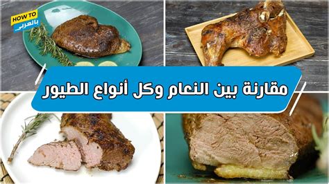 مقارنة لحم النعام وكل أنواع الطيور Youtube