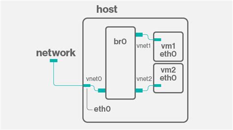 Kvm Virtualization Bridged Networking In Kvm Not Working Ask Ubuntu