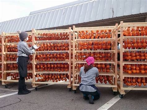 冬ギフト延年蜂屋柿プレミアム3個入り 優しい甘さの干し柿 贈答用 お歳暮岐阜県産の蜂屋柿食べチョク産地直送 産直 お取り寄せ通販