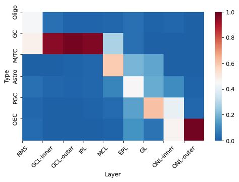 1 Stereo Seq Olfactory Bulb — Secetutorial 103 Documentation