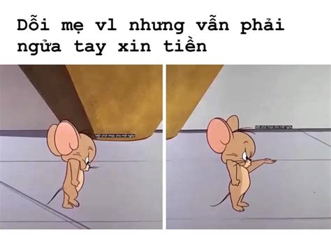 ổng Hợp Bộ Tom And Jerry Meme Cực Hài Hước Dễ Thương Coolmate Coolmate