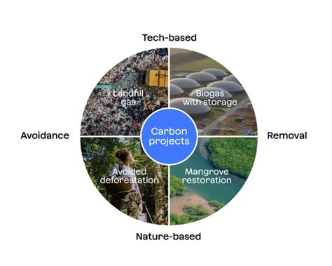 Climate Projects And Carbon Credits Climate Action Today Bezero Carbon