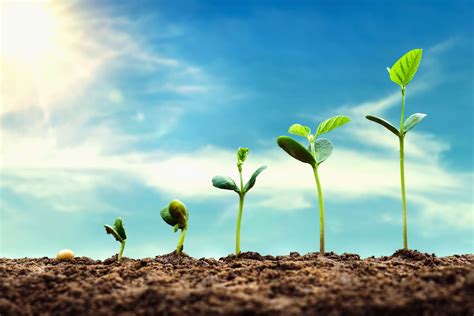 Utilizzo Delle Risorse Bilancio Sociale 2022 Cisl Fp Funzione