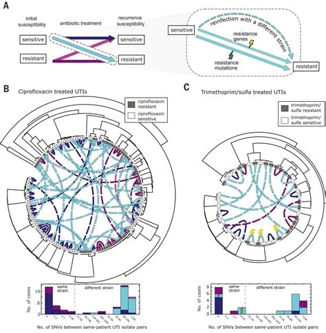 Dr Ganapathi Pulipaka On Linkedin Bigdata Analytics Datascience Ai Machinelearning Iot