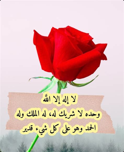 Inspirational Arabic Quotes