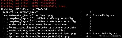 flutter执行flutter pub get过程中遇到的问题 csdn博客