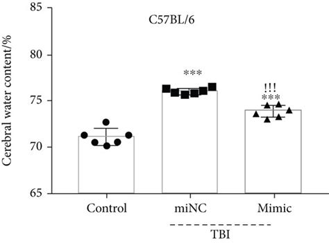 Mir 29a 5p Mimic Injection Induced The Alleviation Of Bbb Permeability