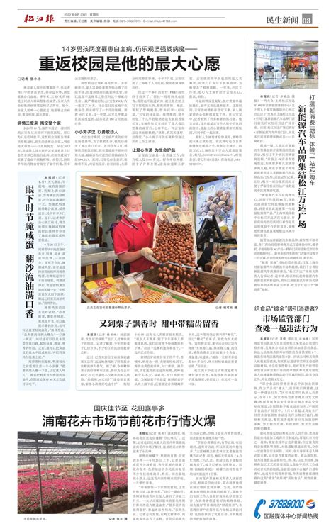 又到栗子飘香时 甜中带糯齿留香 松江报