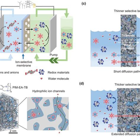 dynamic water vapor sorption a dynamic vapor sorption isotherms at