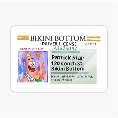 Patrick Star Drivers License Sticker For Sale By Pascaraul Redbubble