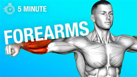5 Min A Day To Improve Your Forearms Youtube