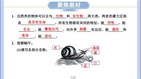 第1节 生物与非生物 同步练习（课件版 18张ppt） 21世纪教育网
