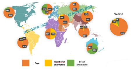 Global Egg Market Trend Novocenter