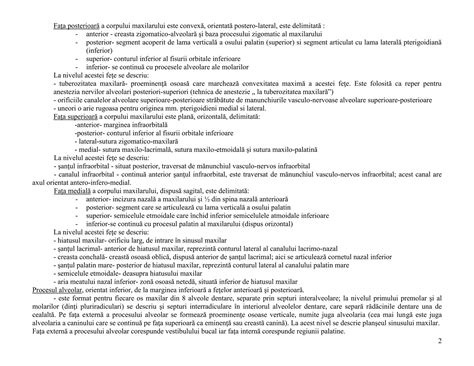 Osul Maxilar Doc
