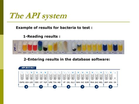 Api Identification System Tda