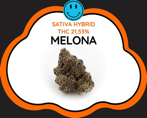 Melona - Cloud Nine Thailand