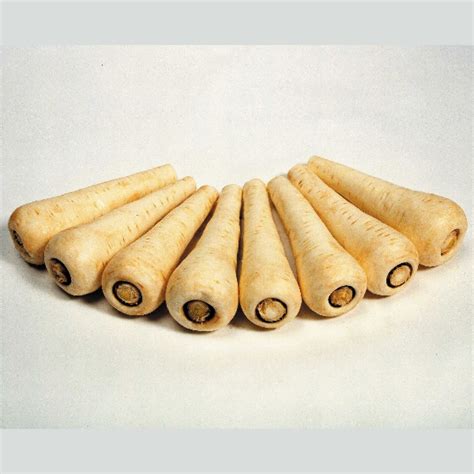 parsnip countess f1 seeds motosoko marketplace