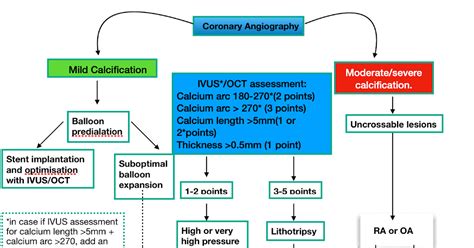 Hypercalcemia High Calcium Levels And What To Do