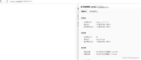 Kubernetes运维之 Cert Manager自动签发lets Encrypt证书并通过ingress实现网站全自动管理 Csdn博客