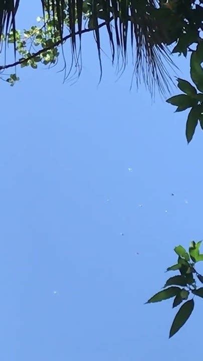 පාතදුවන සමනල්ලු 🚀🚀 Youtube