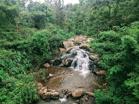 강 강바닥 개울 경치 계곡 고요한 광야 그림 같은 깨끗한 공기 나무 나뭇잎 녹색 녹지 모험 무성한 바위 바위투성이의 방랑벽 산소 생물