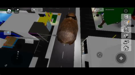 капибара в БРУКХЕВЕН иди и проверяй Youtube