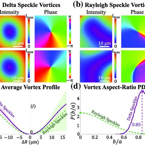 Schematic Diagram Of The Multifocal Structured Illumination Microscope Download Scientific