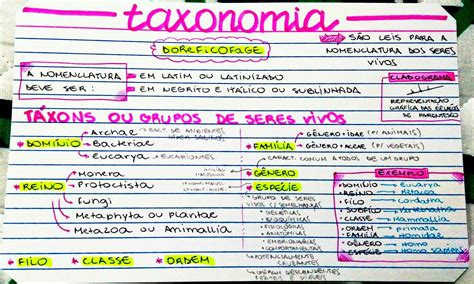 Classificacao Taxonomia Biologia Resumo Classificacao Dos Seres Images