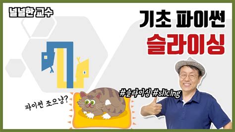 슬라이싱 널널한 교수의 기초 파이썬 ft 파이썬 코딩 YouTube