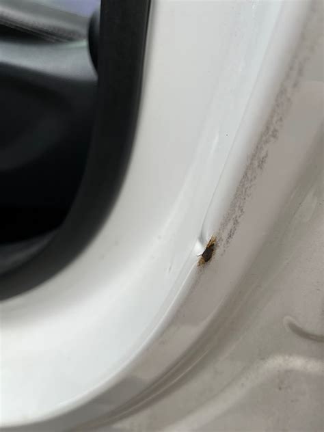 차량 운전석 안쪽 찌그러짐and문 안열림 지식in