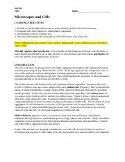 Understanding Microscopes And Cells In Biology Lab Course Hero