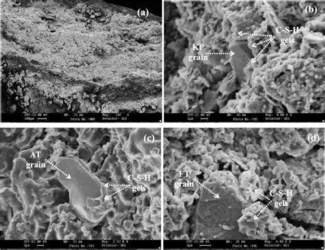 Sem Micrographs Showing Cpb Sample Textures Produced From The Tailings Download Scientific