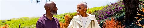 Distant Disease Free Survival Ebc Kisqali® Ribociclib Hcp