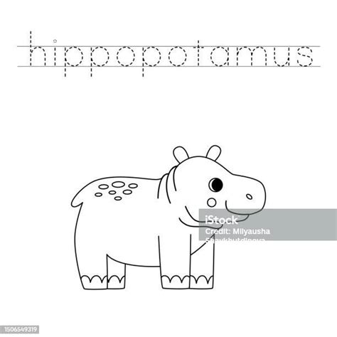 글자를 추적하고 만화 하마를 색칠하십시오 아이들을 위한 필기 연습 0명에 대한 스톡 벡터 아트 및 기타 이미지 0명 교육 귀여운 Istock